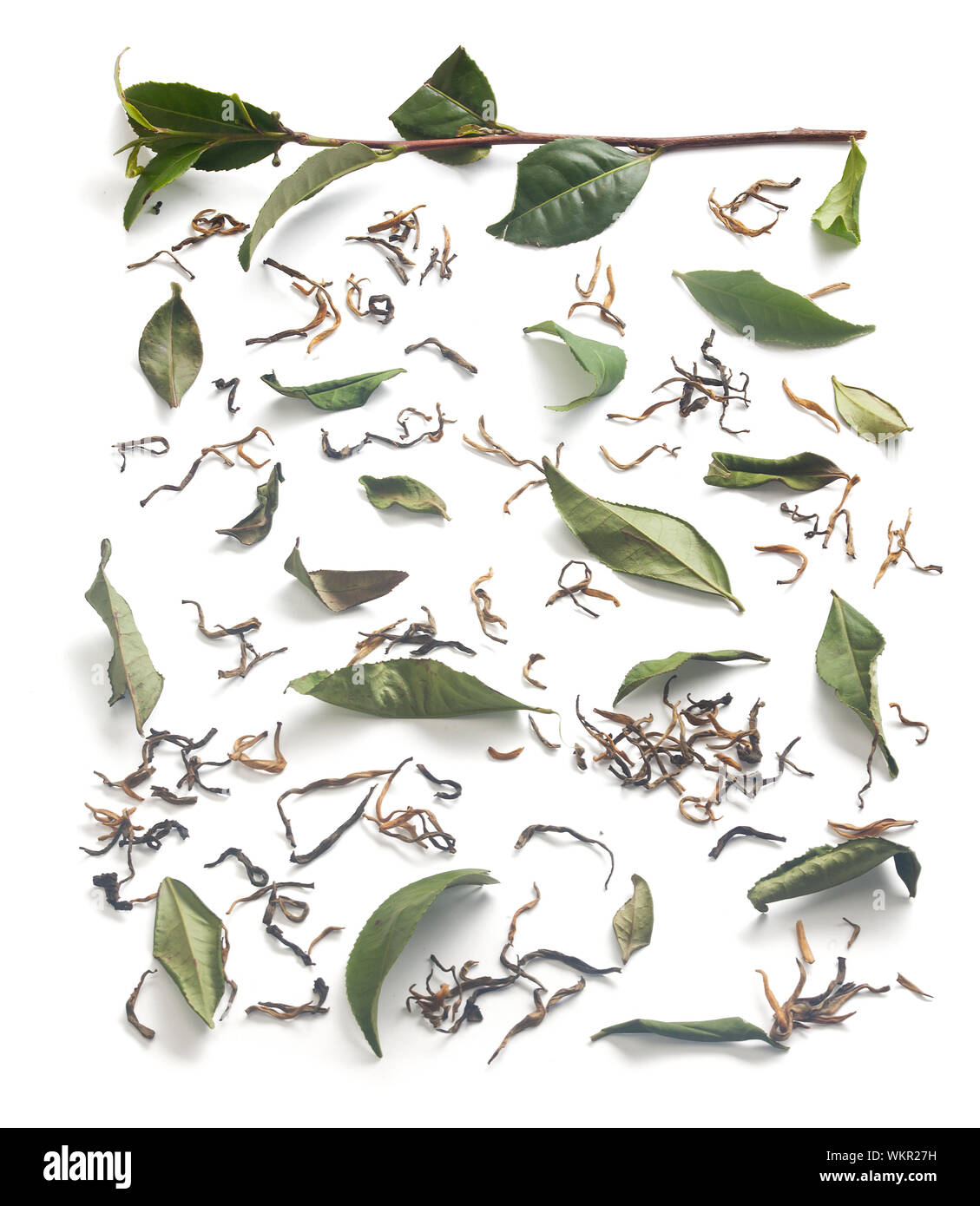 Tea branch and leaves with dried tea Stock Photo - Alamy