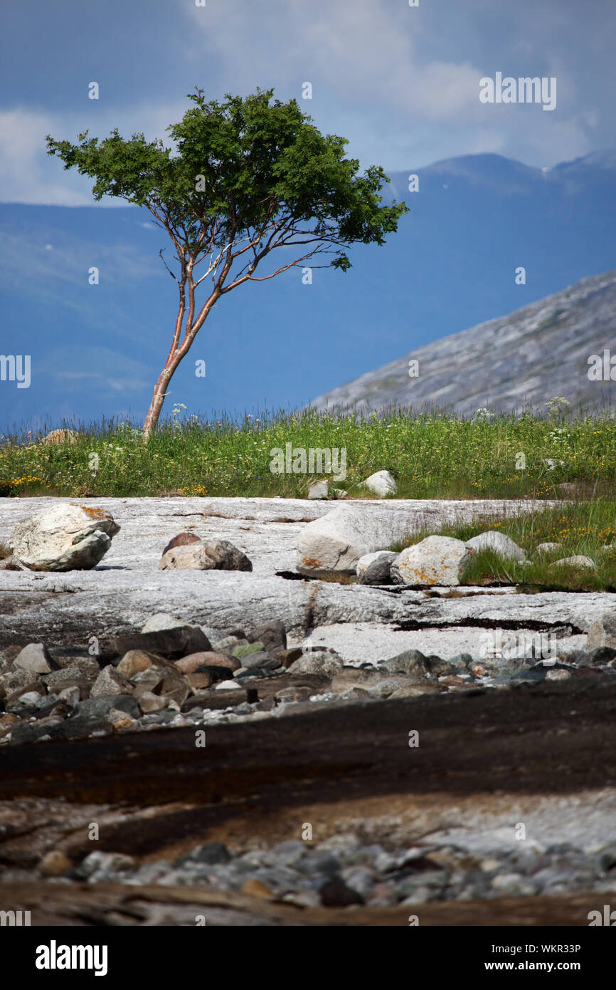 Wilderness alone hi-res stock photography and images - Alamy