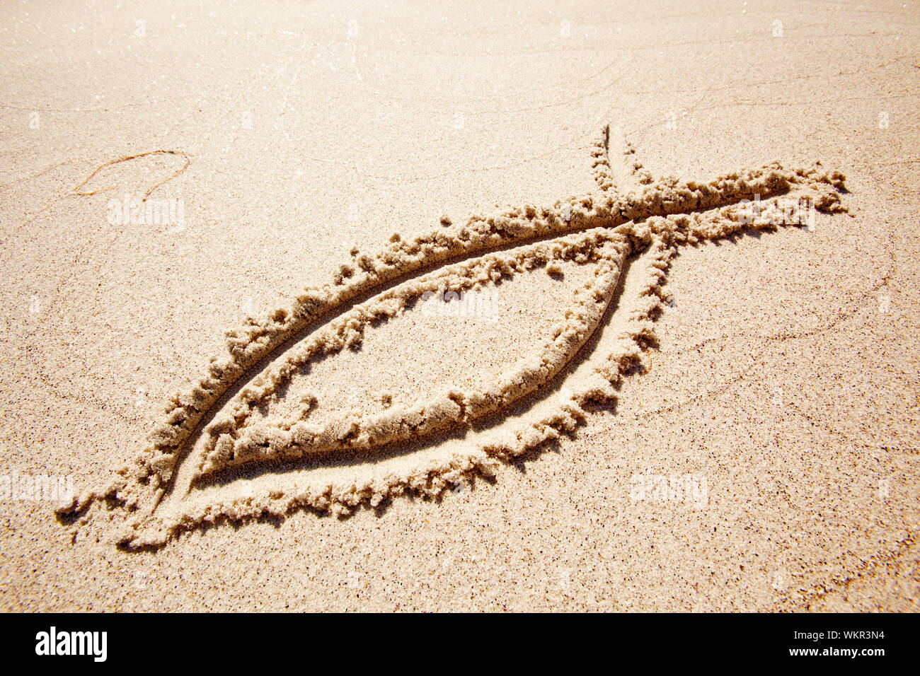 Fish Sand Symbol Stock Photo - Alamy