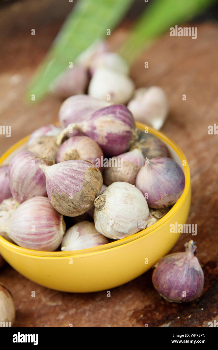 fresh organic garlic Stock Photo - Alamy