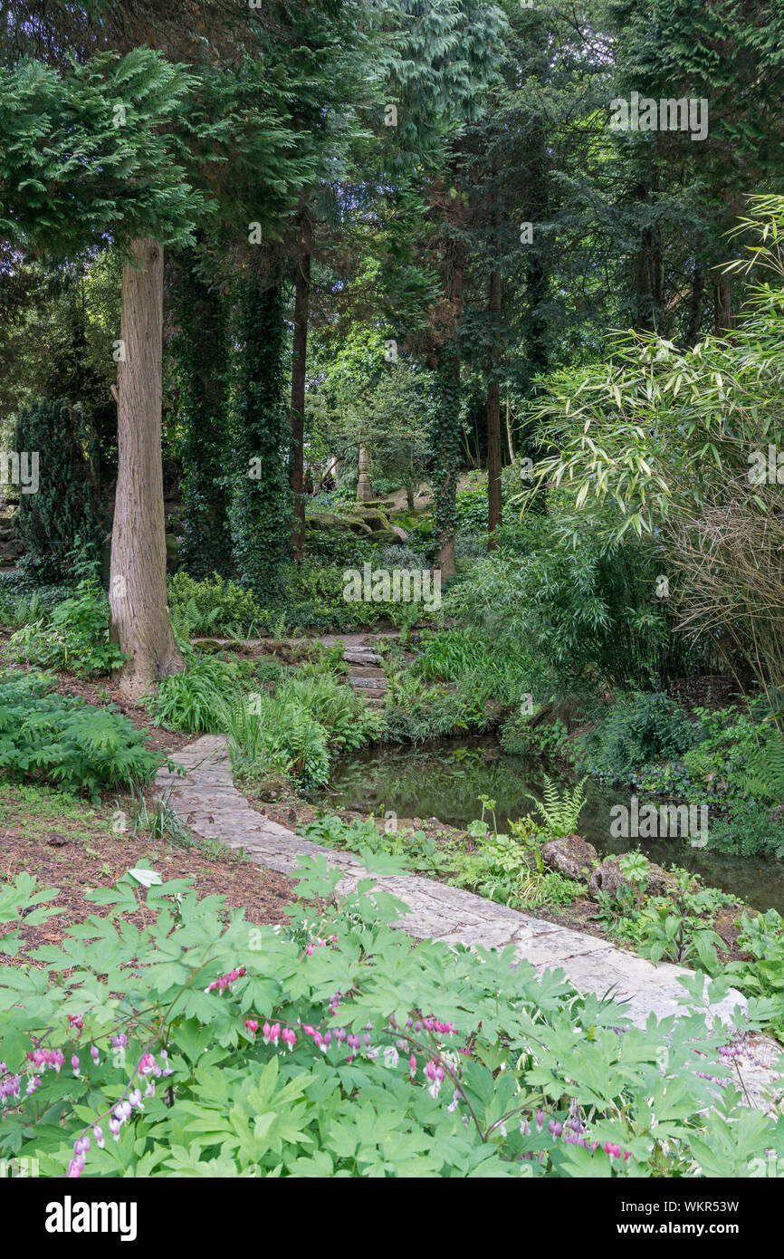 A path through the wooded area of the gardens at Thornbridge Hall, a ...