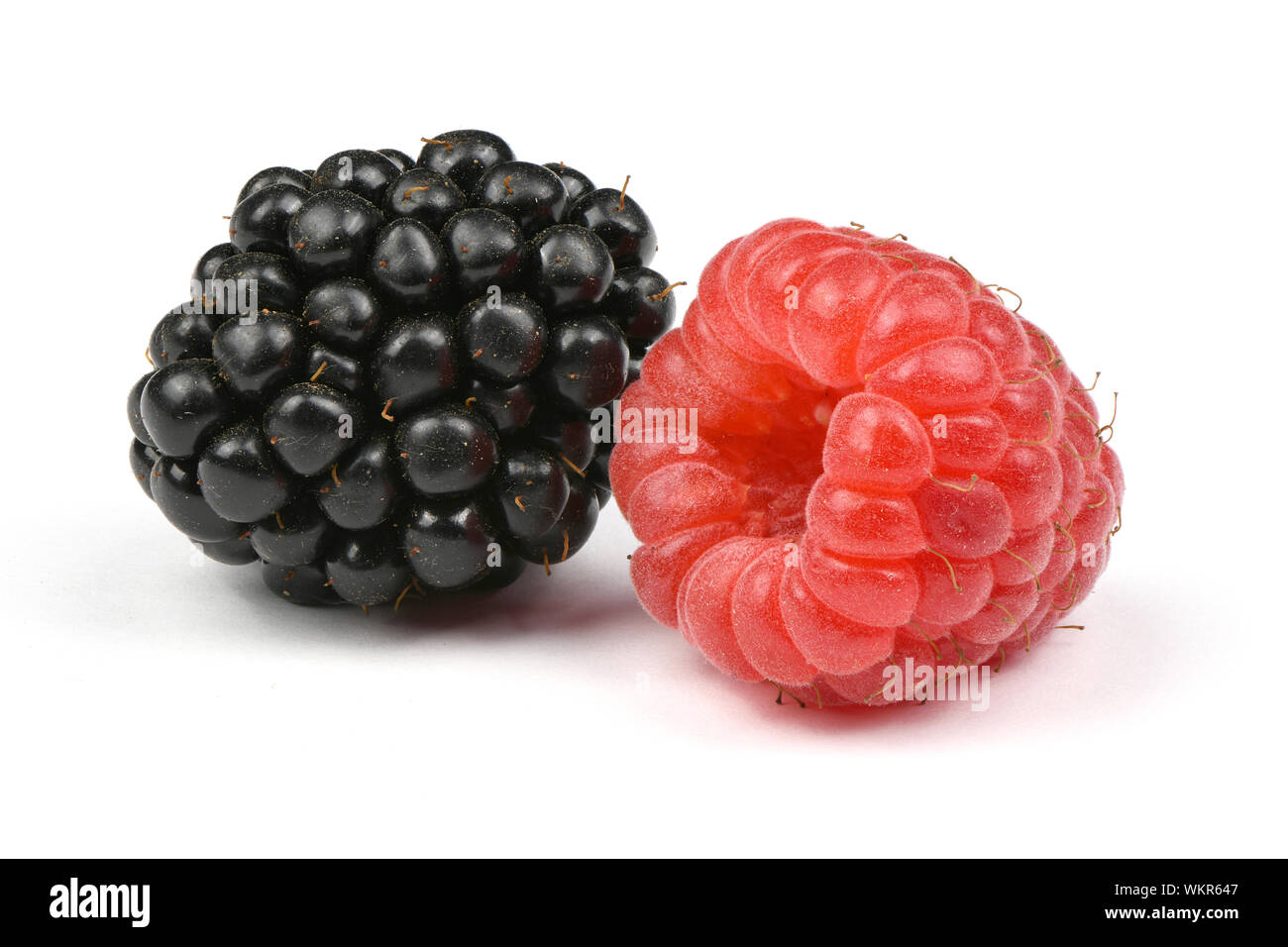 Ripe blackberry and raspberry isolated white background. High ...