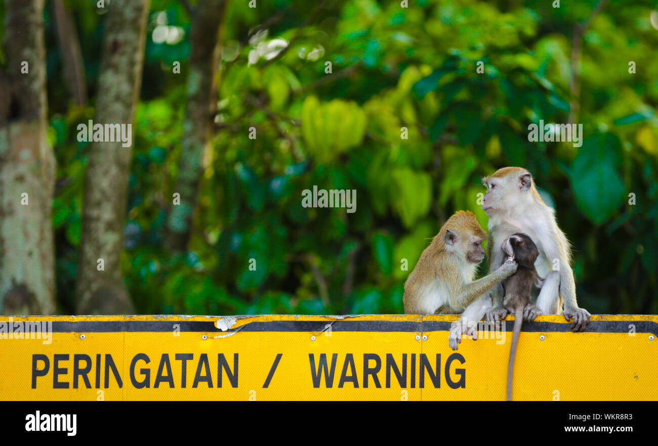 Warning sign zoo hi-res stock photography and images - Alamy