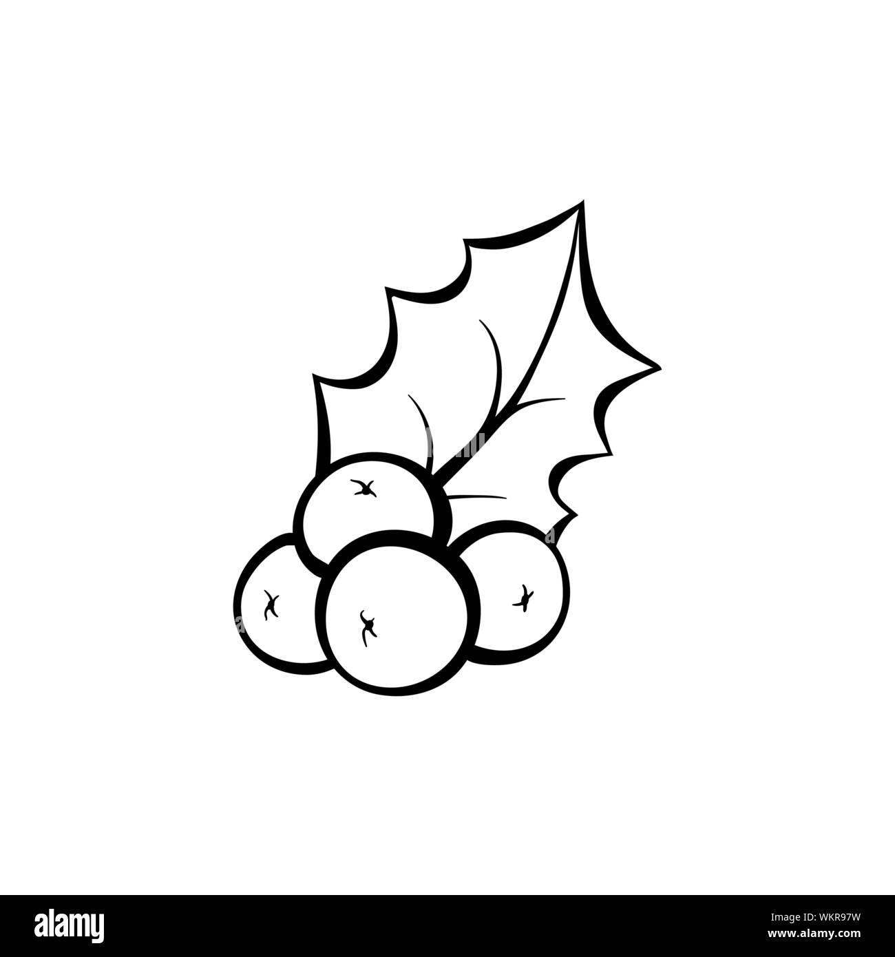 Mistletoe plant berries leaf Black and White Stock Photos & Images - Alamy