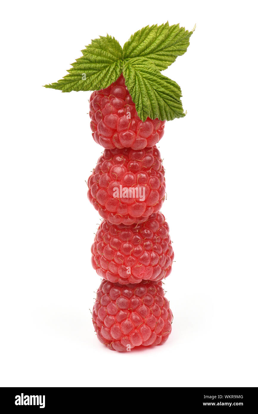 Four raspberries stacked on top of each other, isolated on white ...