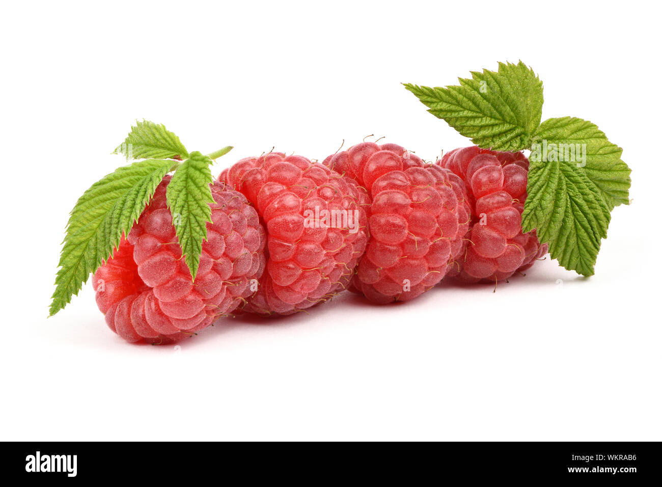 Four red raspberry berries isolated on white background. High ...