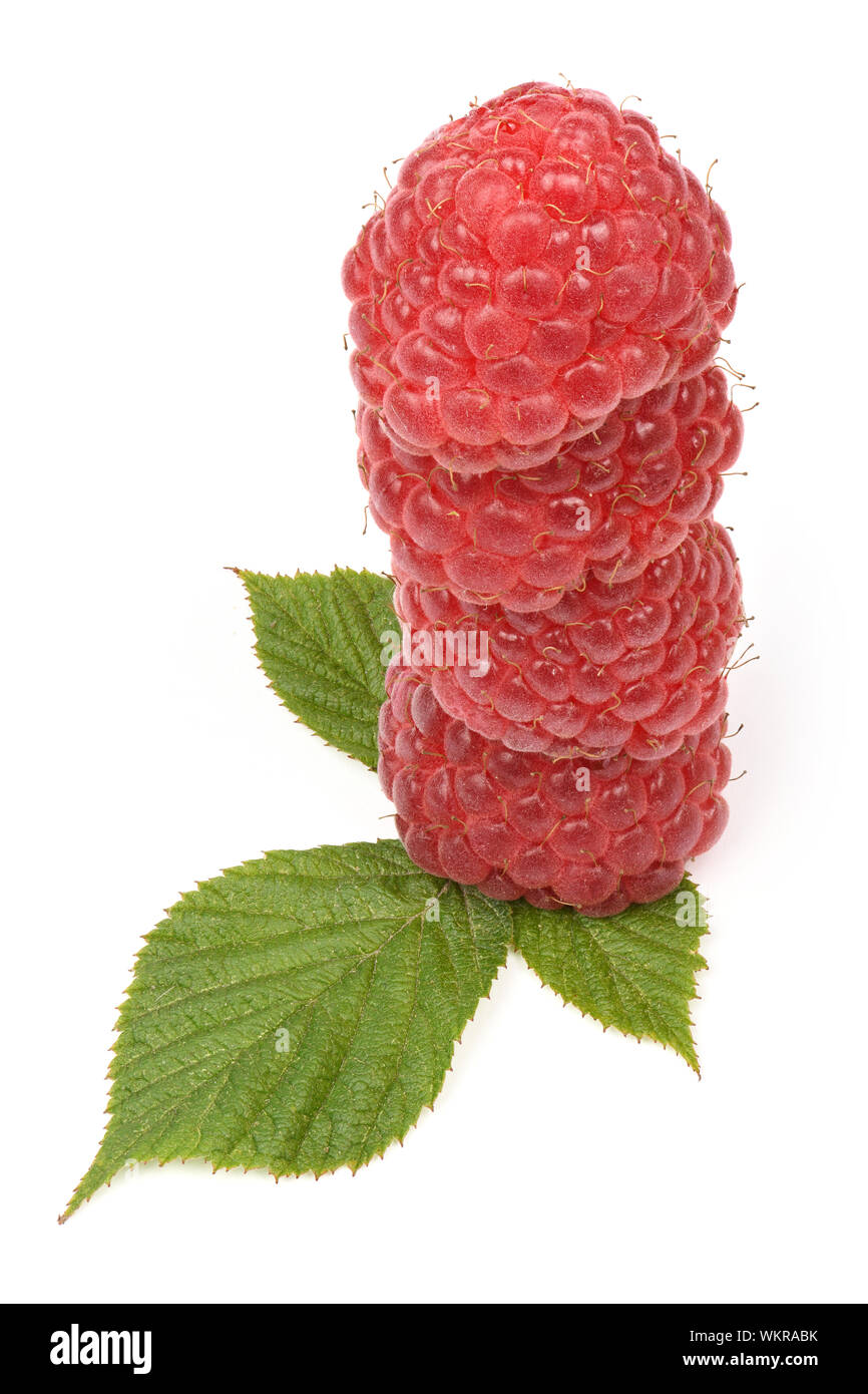 Four raspberries stacked on top of each other, isolated on white ...