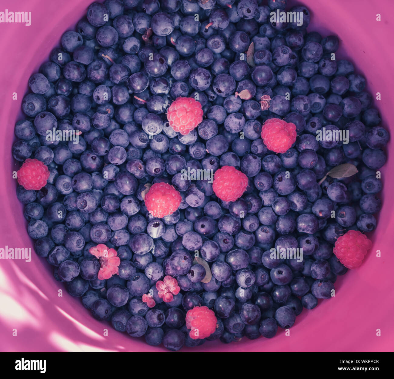Bucket Of Berries High Resolution Stock Photography and Images - Alamy