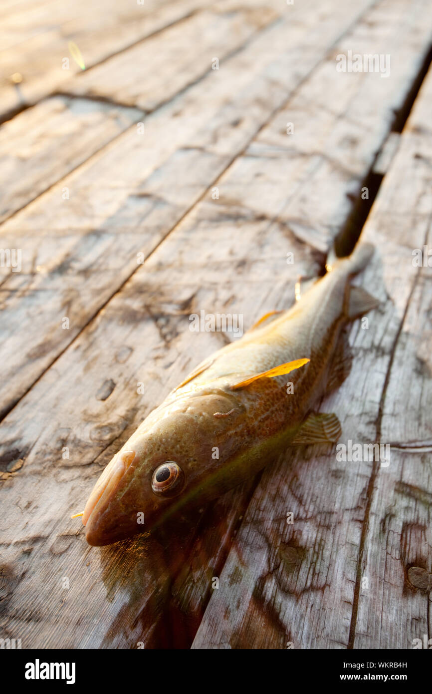Fresh salt sea water hi-res stock photography and images - Alamy