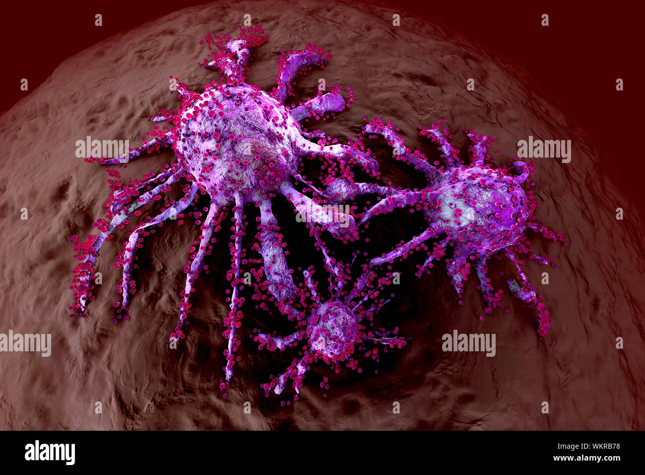 Spreading Cancer Cells High Resolution Stock Photography and Images - Alamy