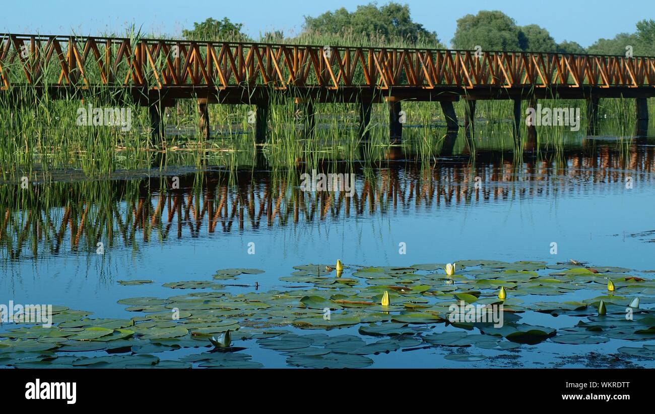 Wetlands bridge hi-res stock photography and images - Alamy