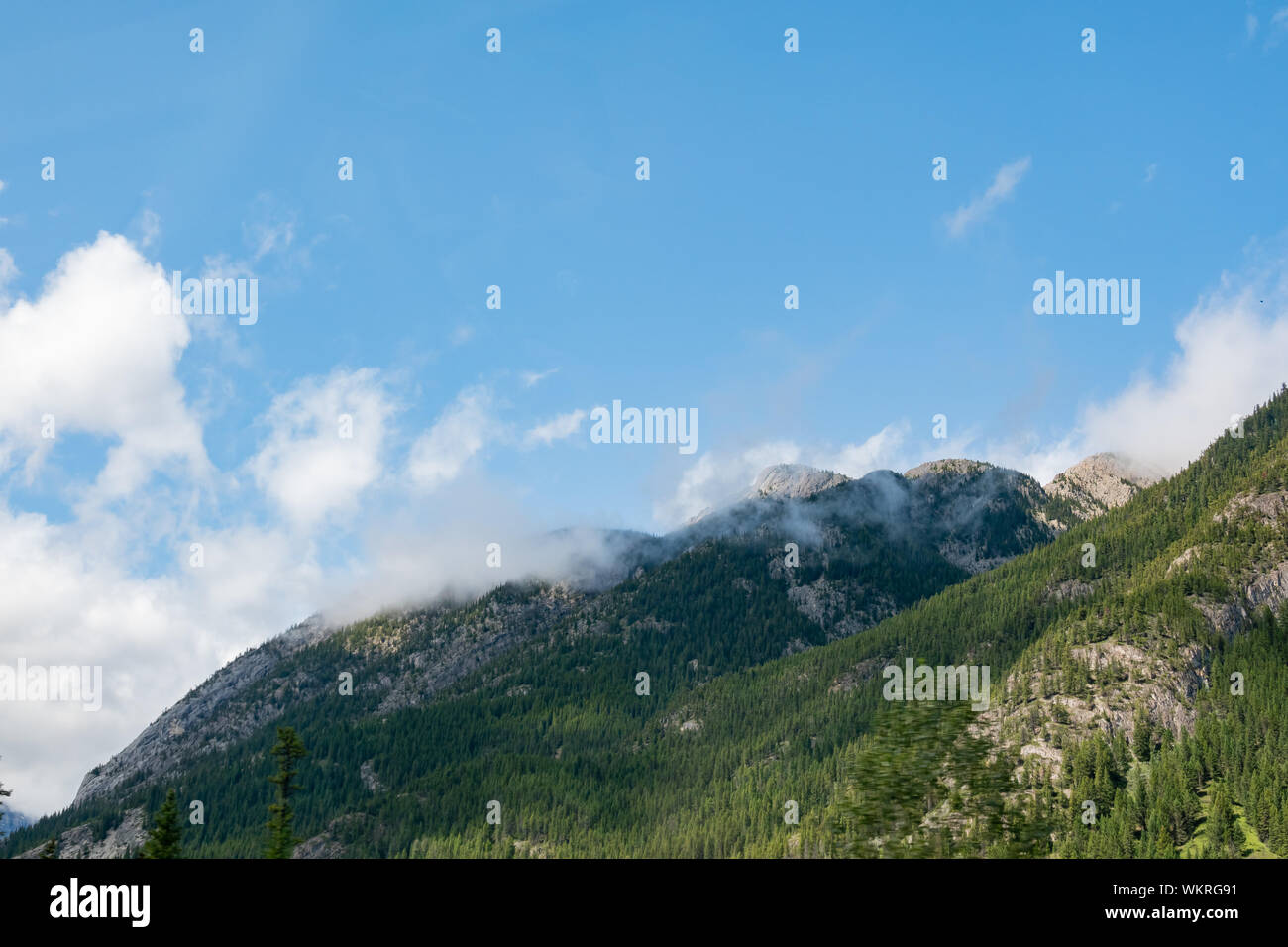 Mountain, trees landscape of Banff National Park, Canada Stock Photo ...