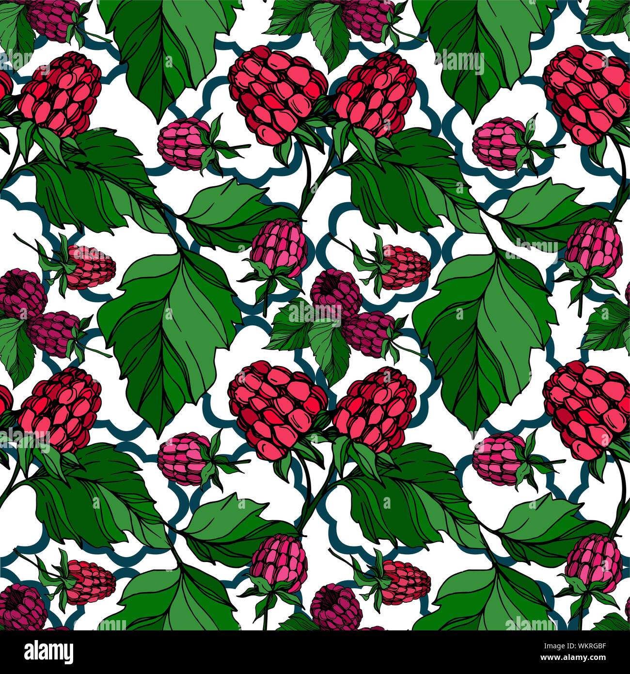 Vector Raspberry healthy food isolated. Black and white engraved ink ...