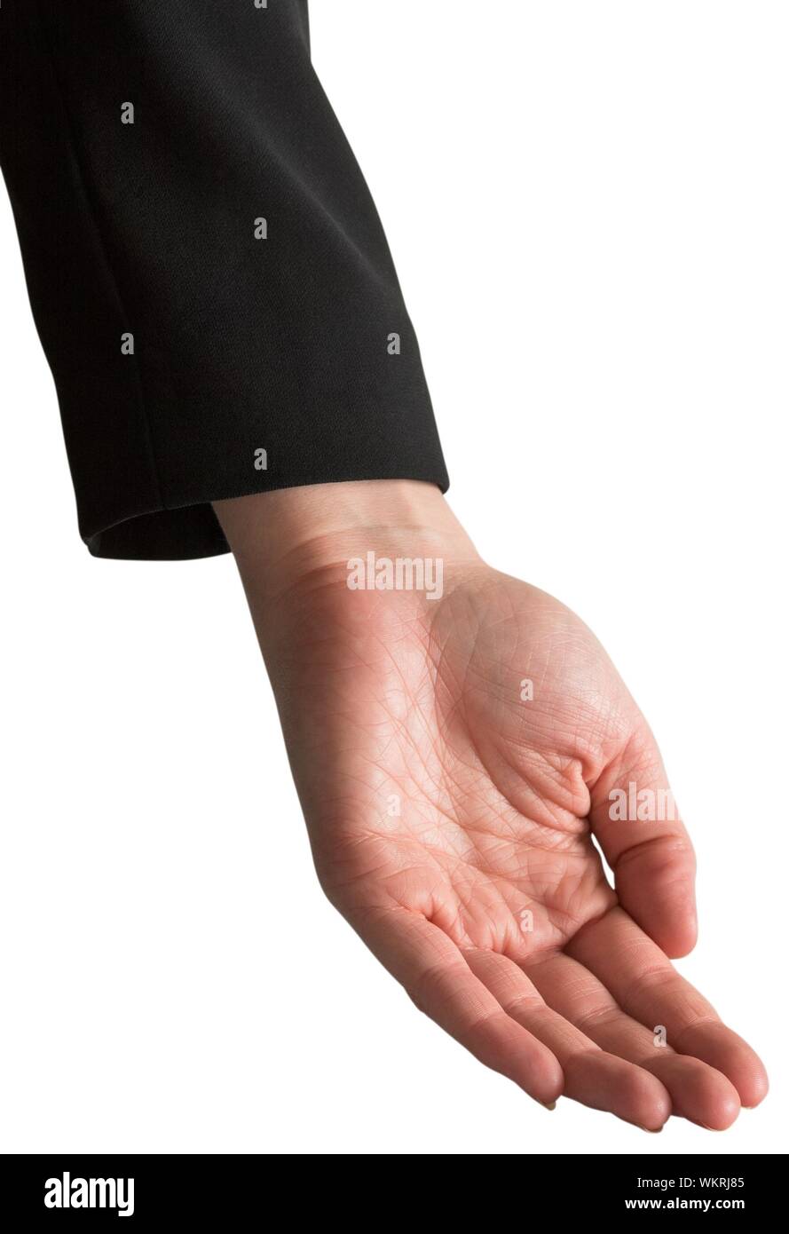 Hand presenting on white background Stock Photo - Alamy