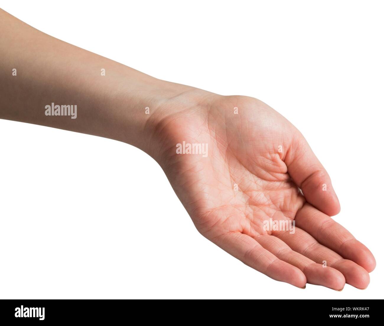 Hand presenting on white background Stock Photo - Alamy