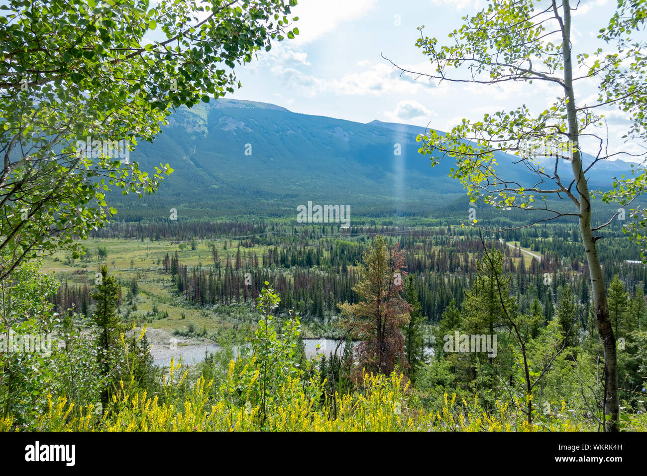Beautiful landscape in the Kananaskis area at Banff, Canada Stock Photo ...