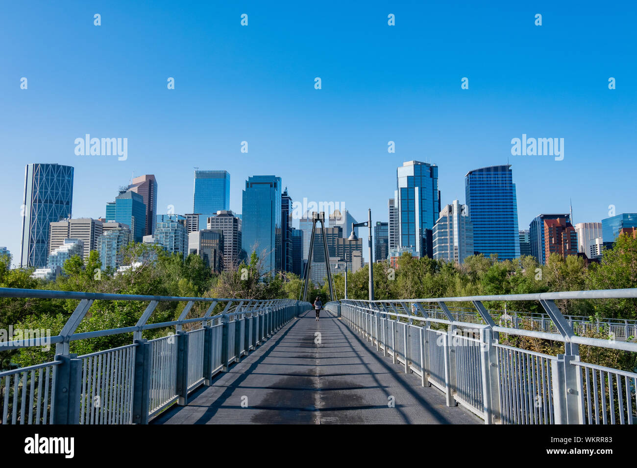 Morning view of the skyline and Bow River Pathway at Calgary, Canada ...