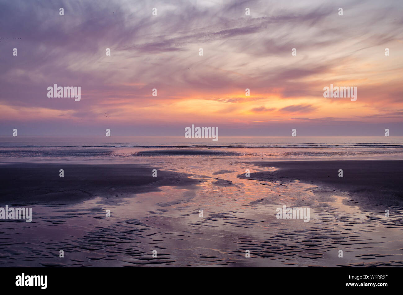 Low tide on sand beach hi-res stock photography and images - Alamy