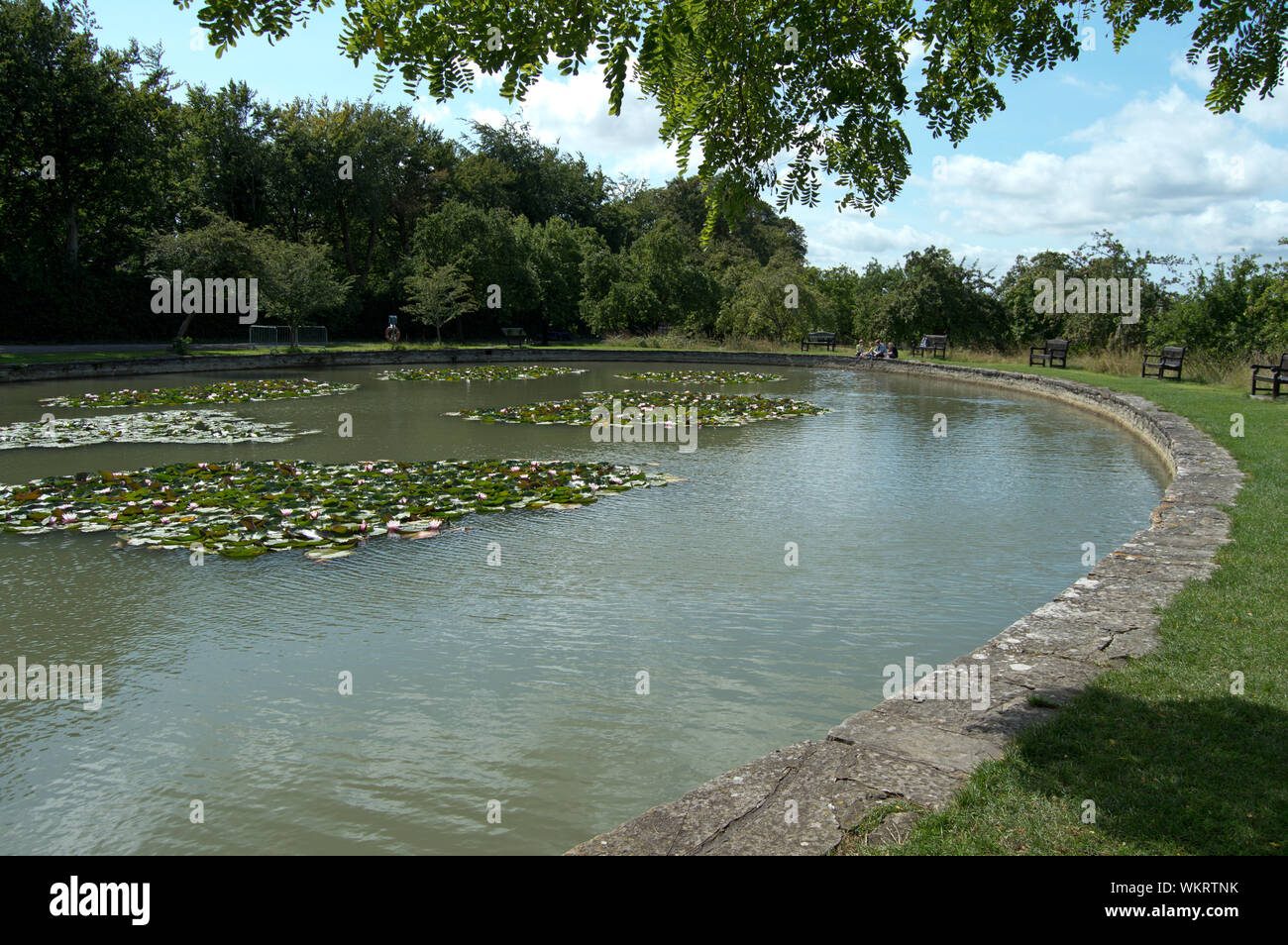 Pond at Glastonbury Abbey, Glastonbury, Somerset, England Stock Photo ...