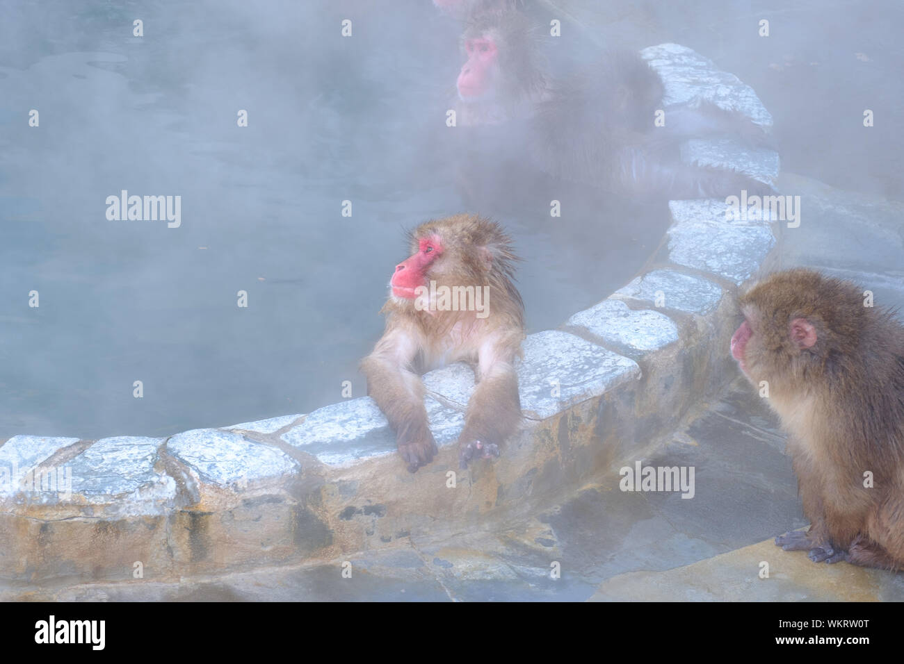 Spring in hokkaido hi-res stock photography and images - Alamy