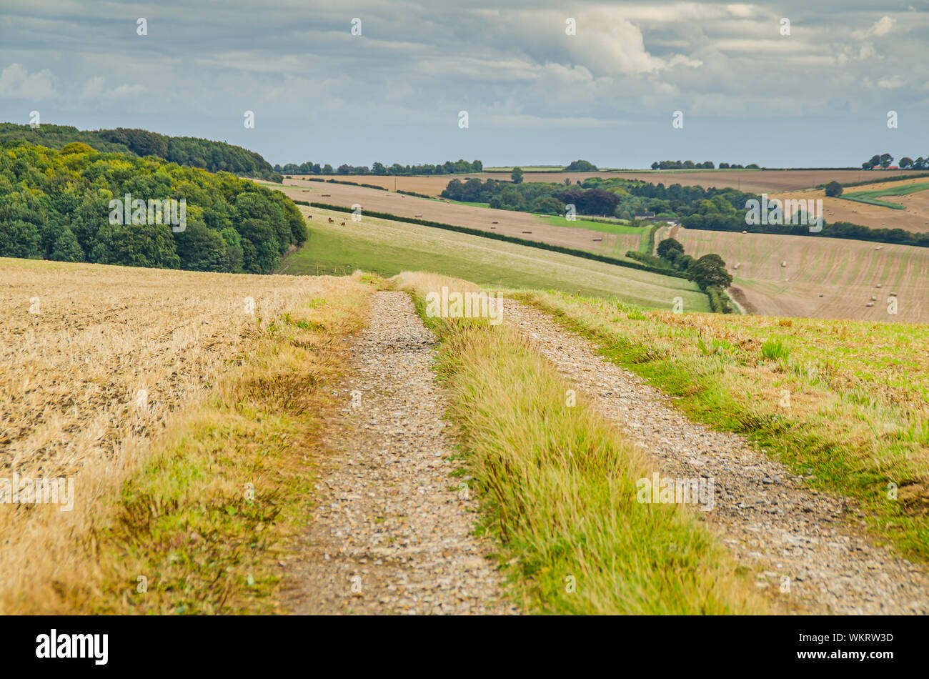 Country track through fields Stock Photo - Alamy