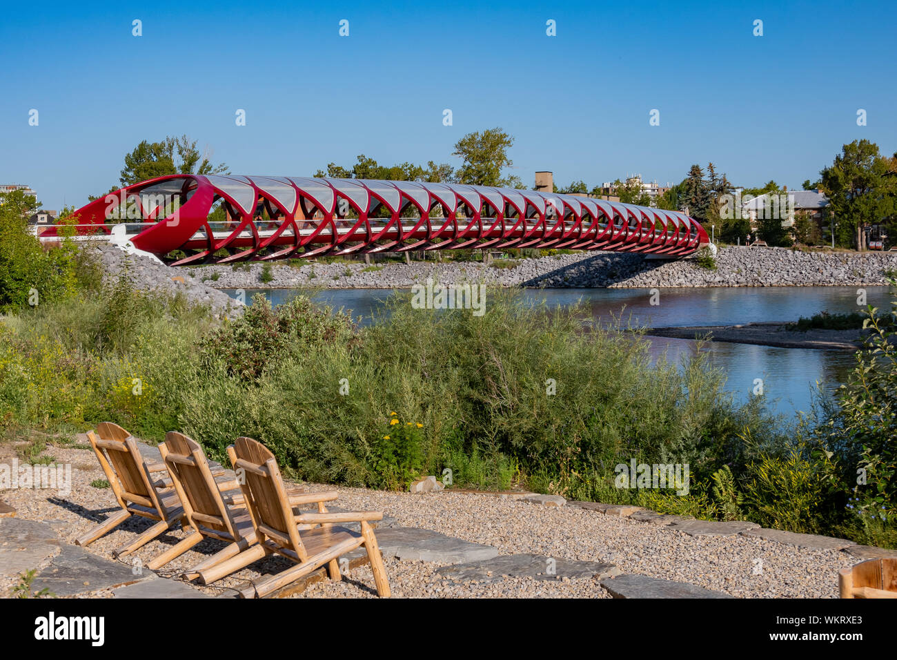 Morning view of the famous red Peace Bridge at Calgary, Canada Stock ...