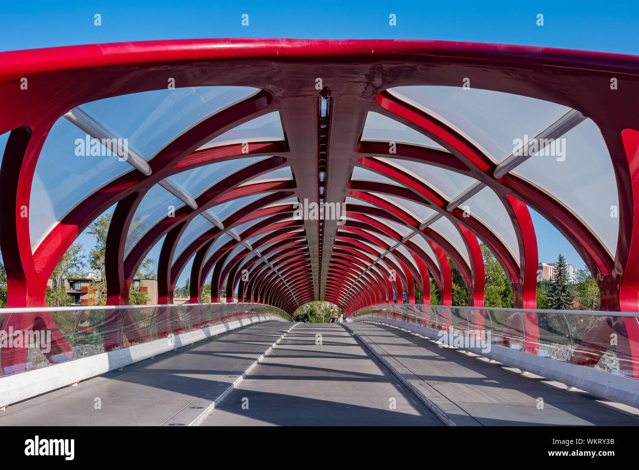 Morning view of the famous red Peace Bridge at Calgary, Canada Stock ...