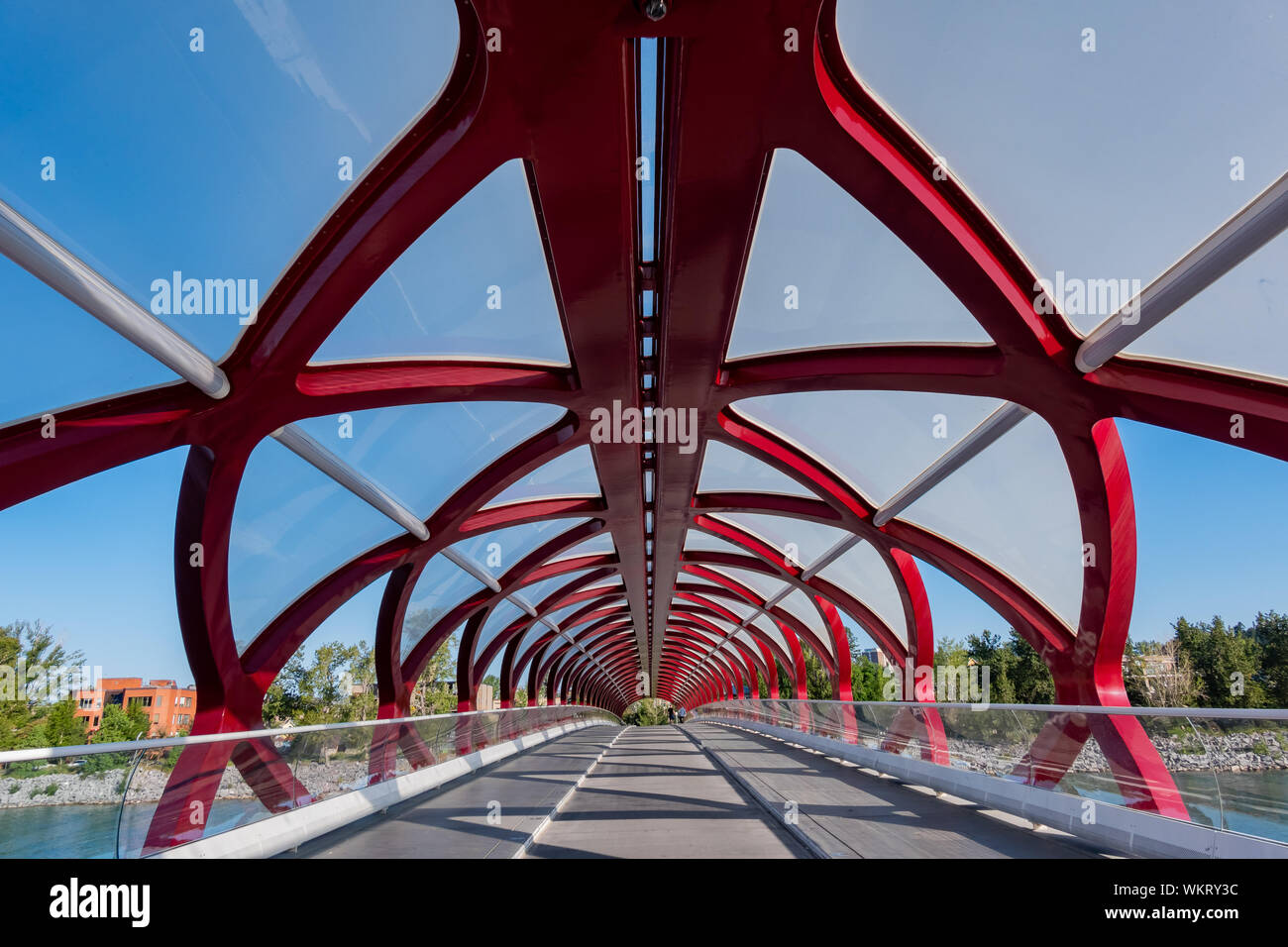 Morning view of the famous red Peace Bridge at Calgary, Canada Stock ...