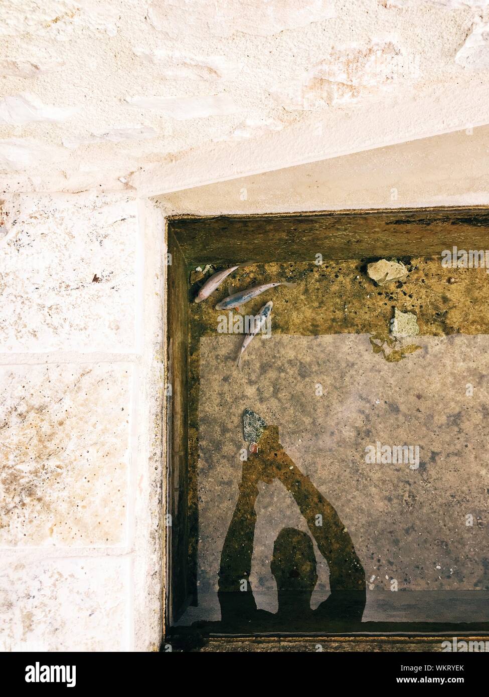 Shadow in water hi-res stock photography and images - Alamy