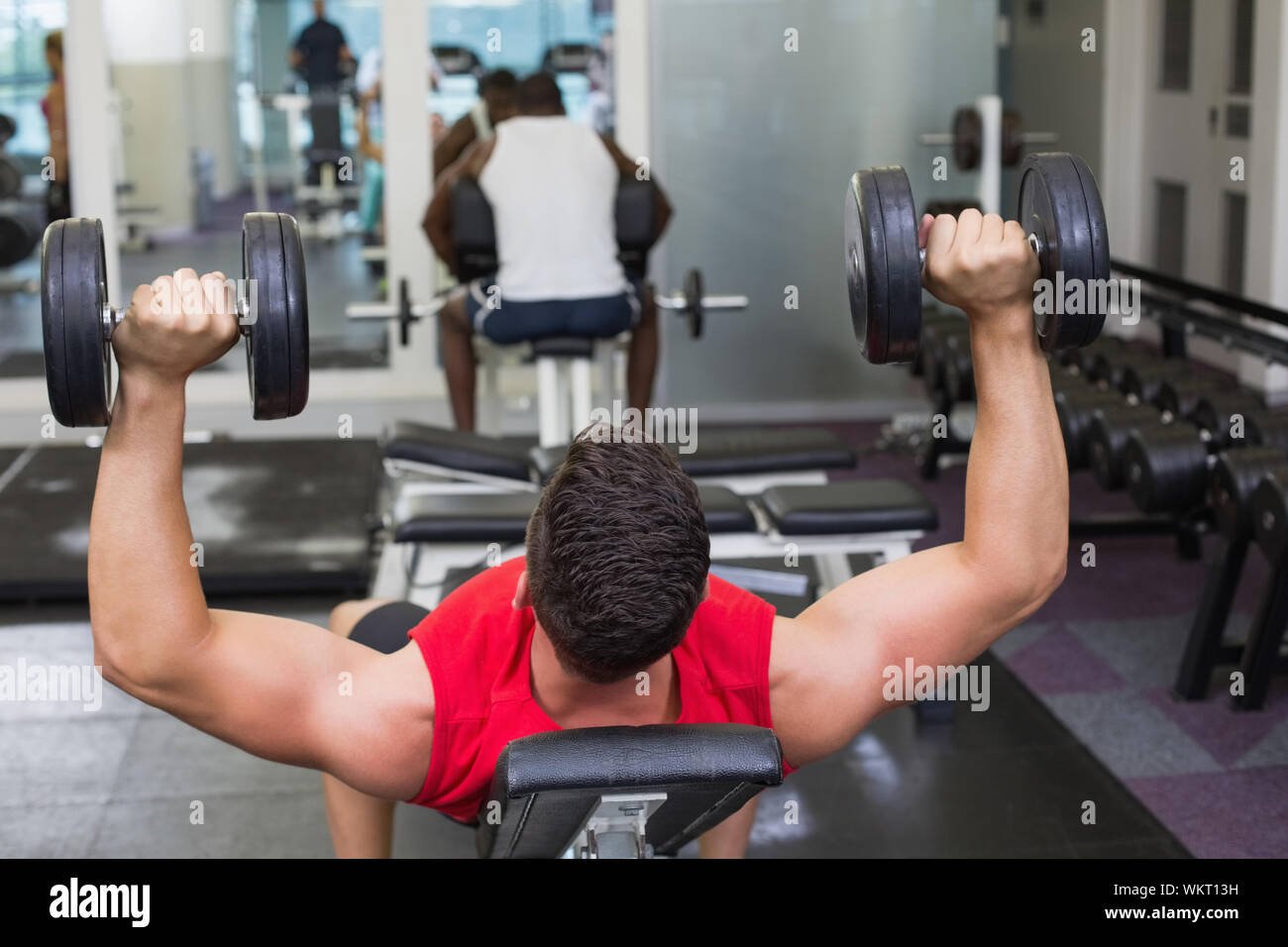 Bodybuilder lying on bench lifting heavy dumbbells at the gym Stock ...