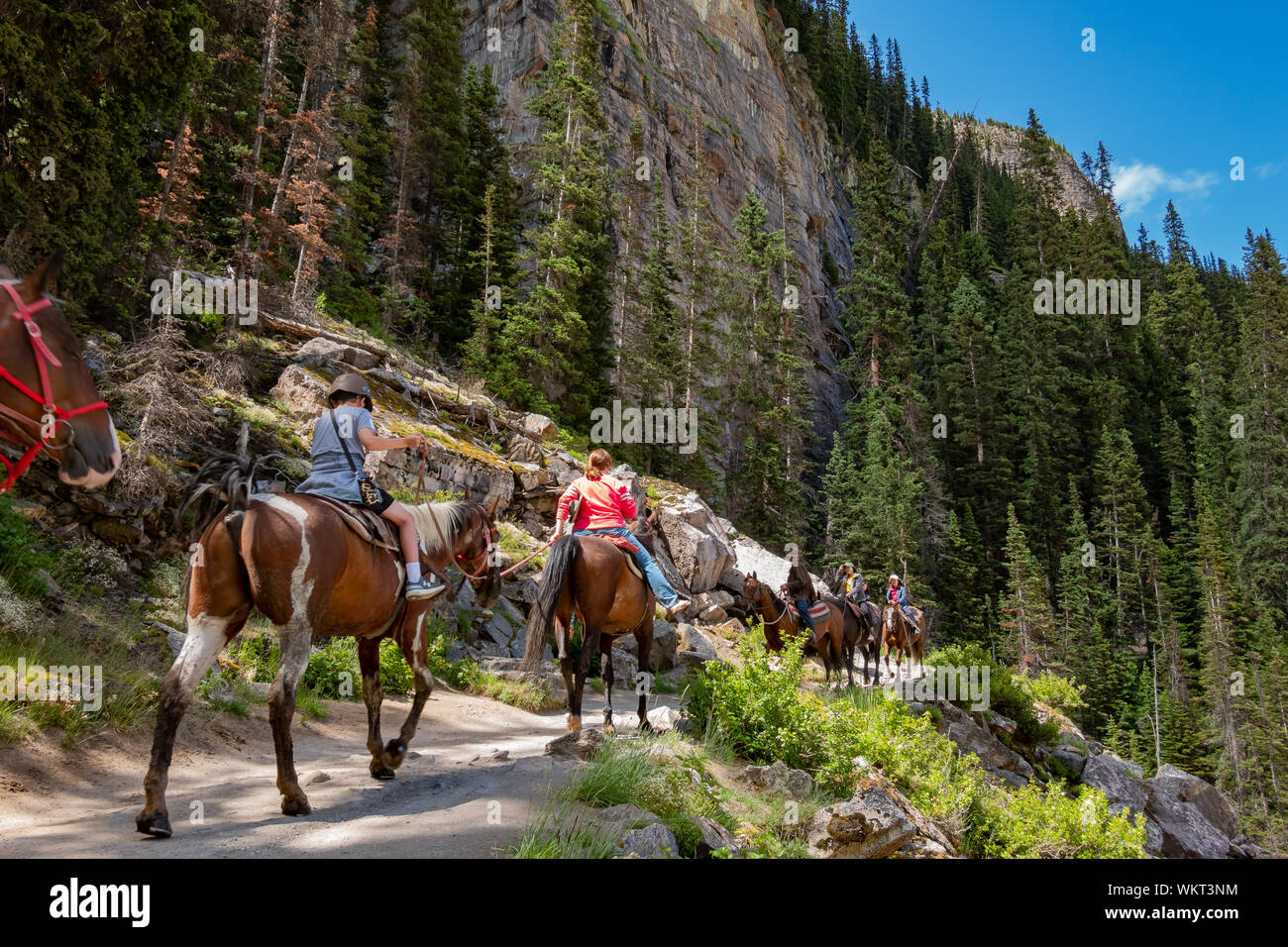 Banff, JUL 25: People riding horse in the famous trail of Lake Louise ...