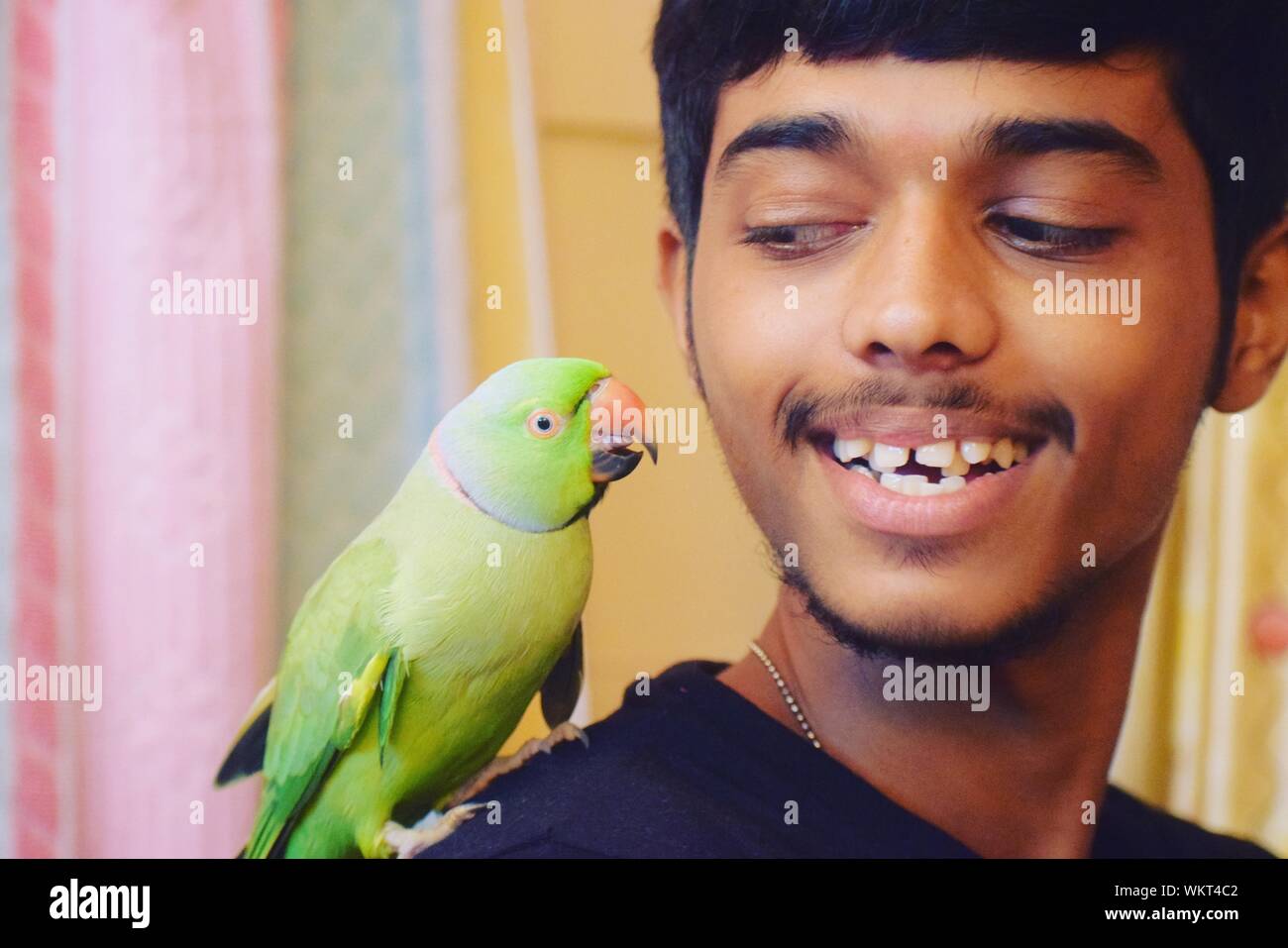 Boy with parrot on his shoulder hi-res stock photography and images - Alamy