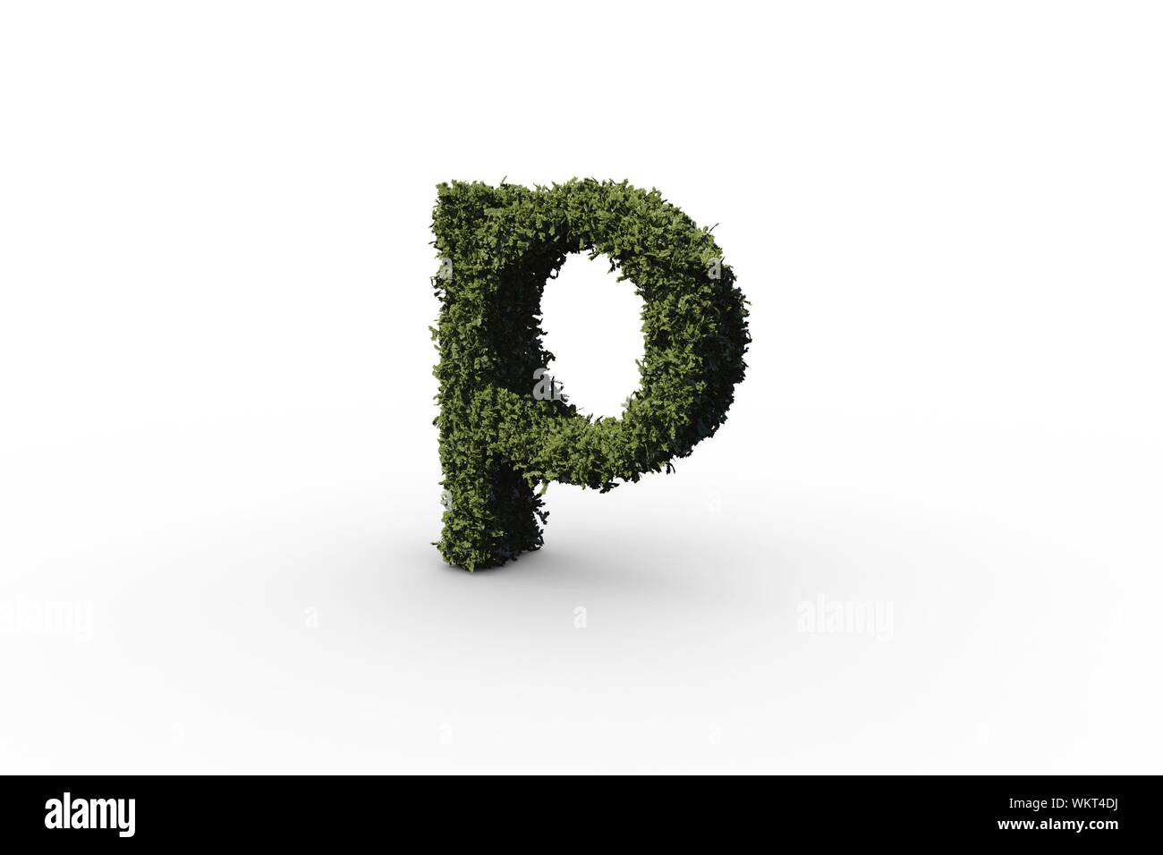 Letter p made of leaves on white background Stock Photo - Alamy