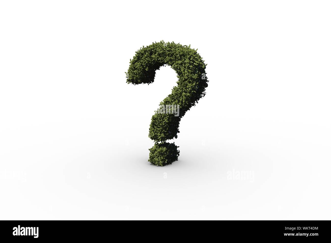 Question mark made of leaves on white background Stock Photo - Alamy