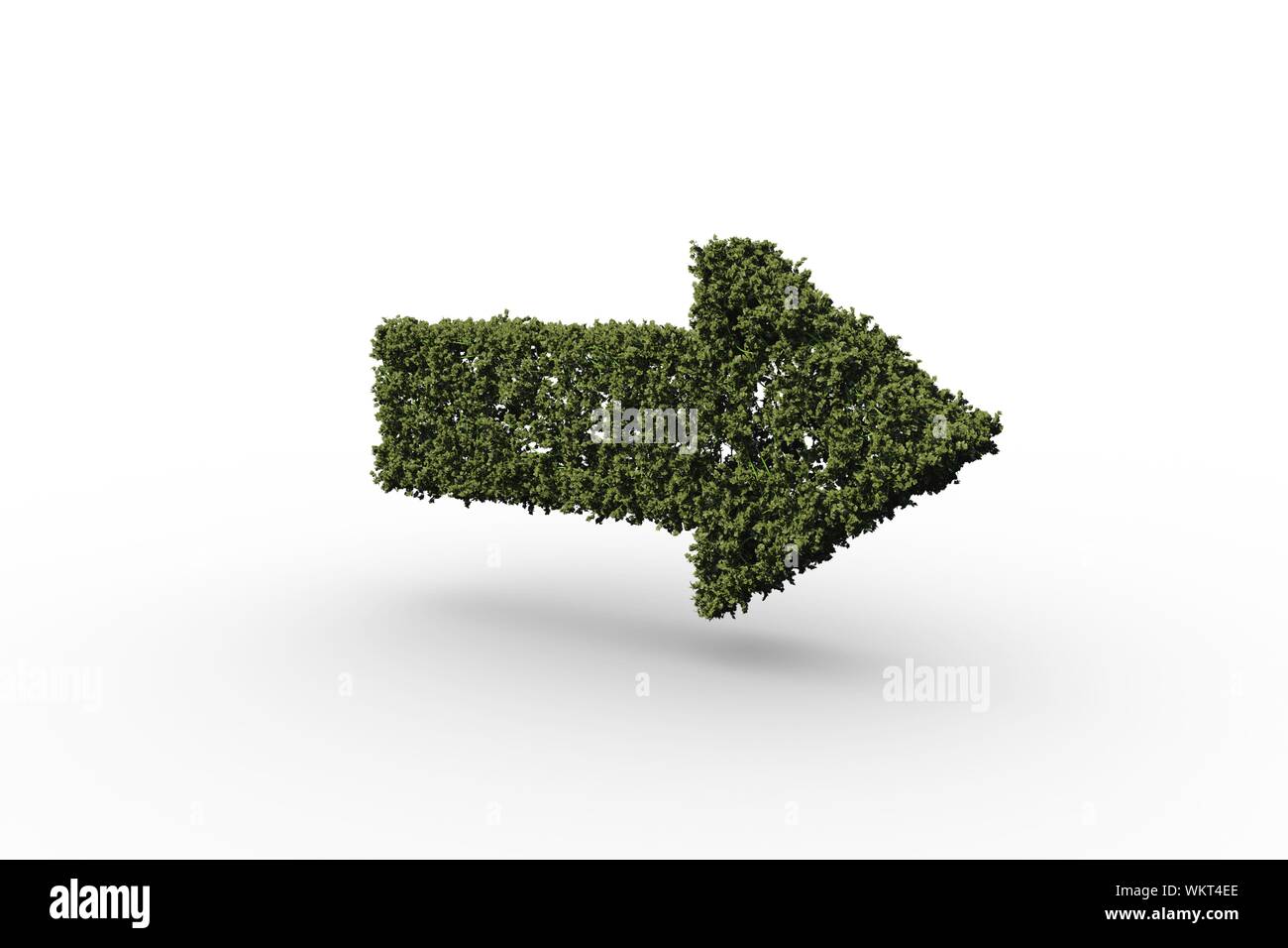 Arrow on leaves Cut Out Stock Images & Pictures - Alamy