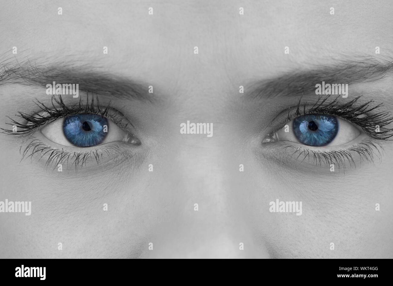 Blue eyes of pretty female face in grey Stock Photo - Alamy