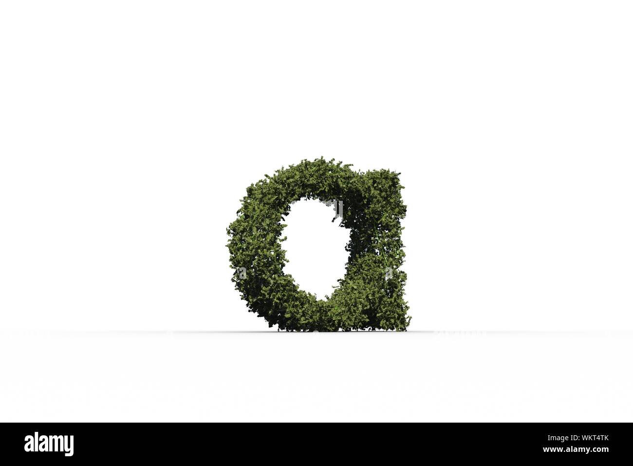 Letter a made of leaves on white background Stock Photo - Alamy