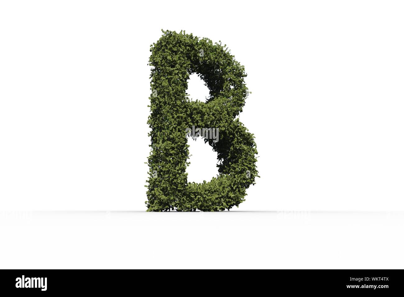 Letter b made of leaves on white background Stock Photo - Alamy