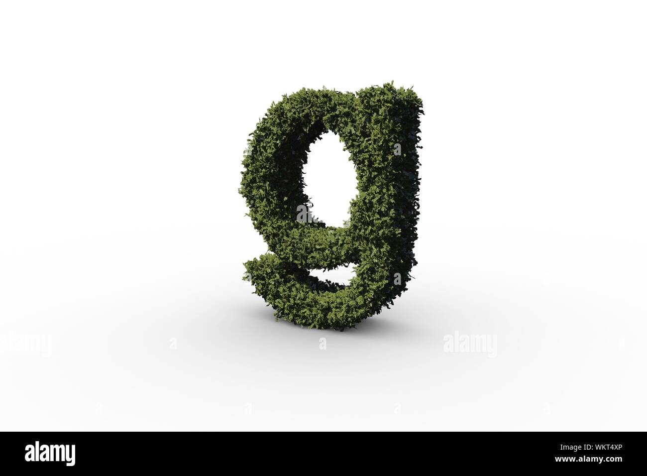 Letter g made of leaves on white background Stock Photo - Alamy