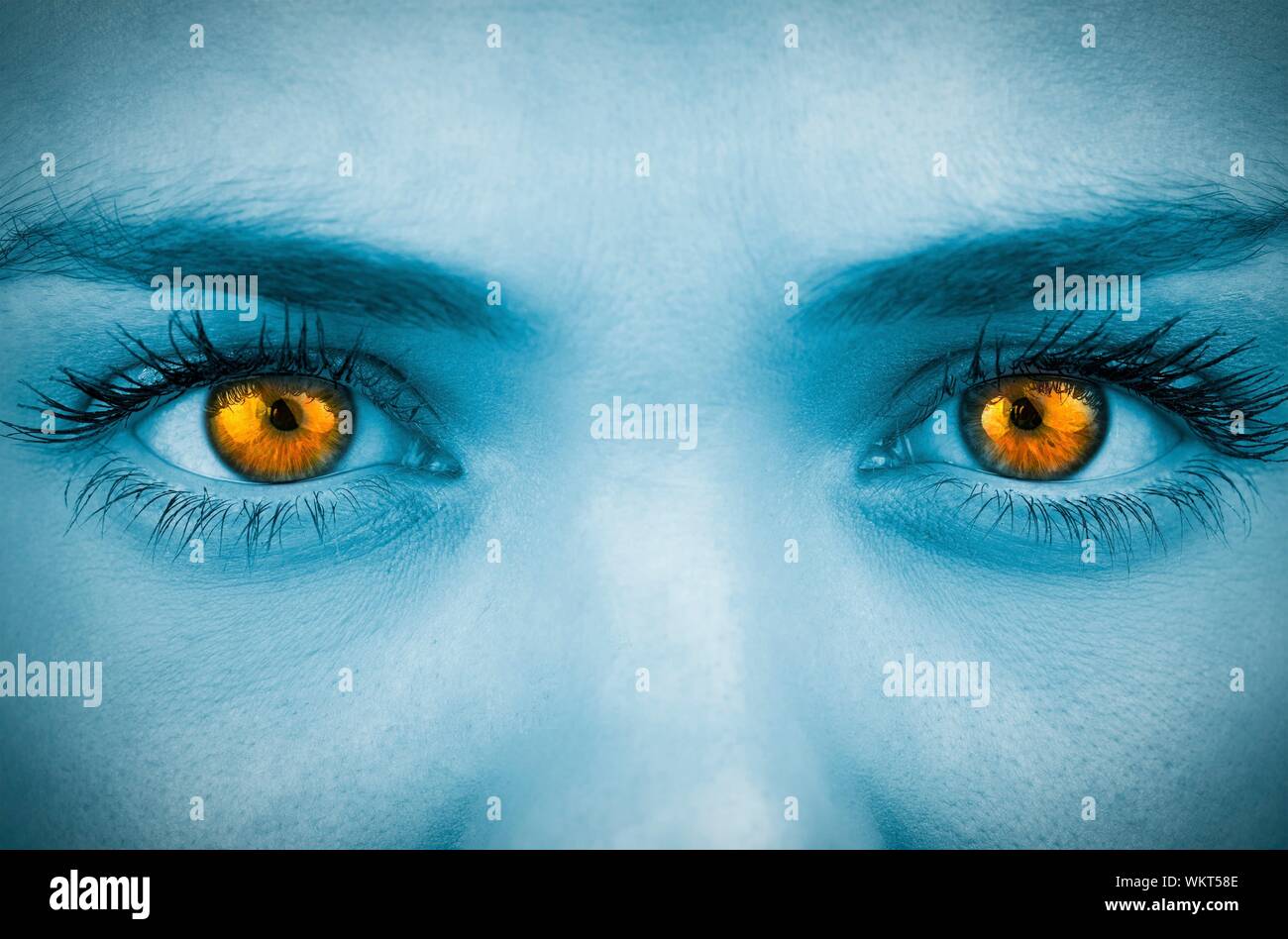 Bright orange eyes on female face in blue Stock Photo - Alamy
