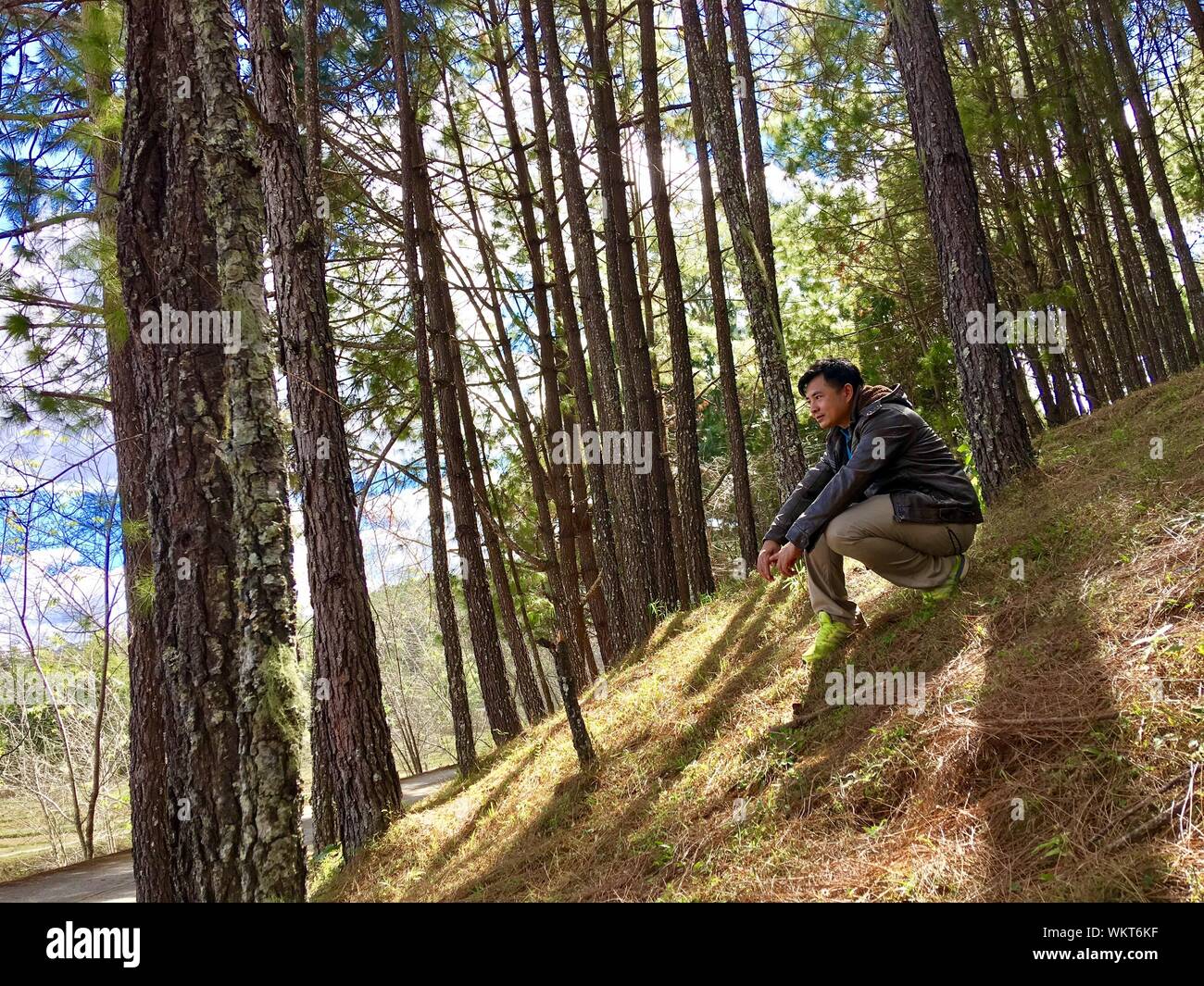 Hill in forest hi-res stock photography and images - Alamy