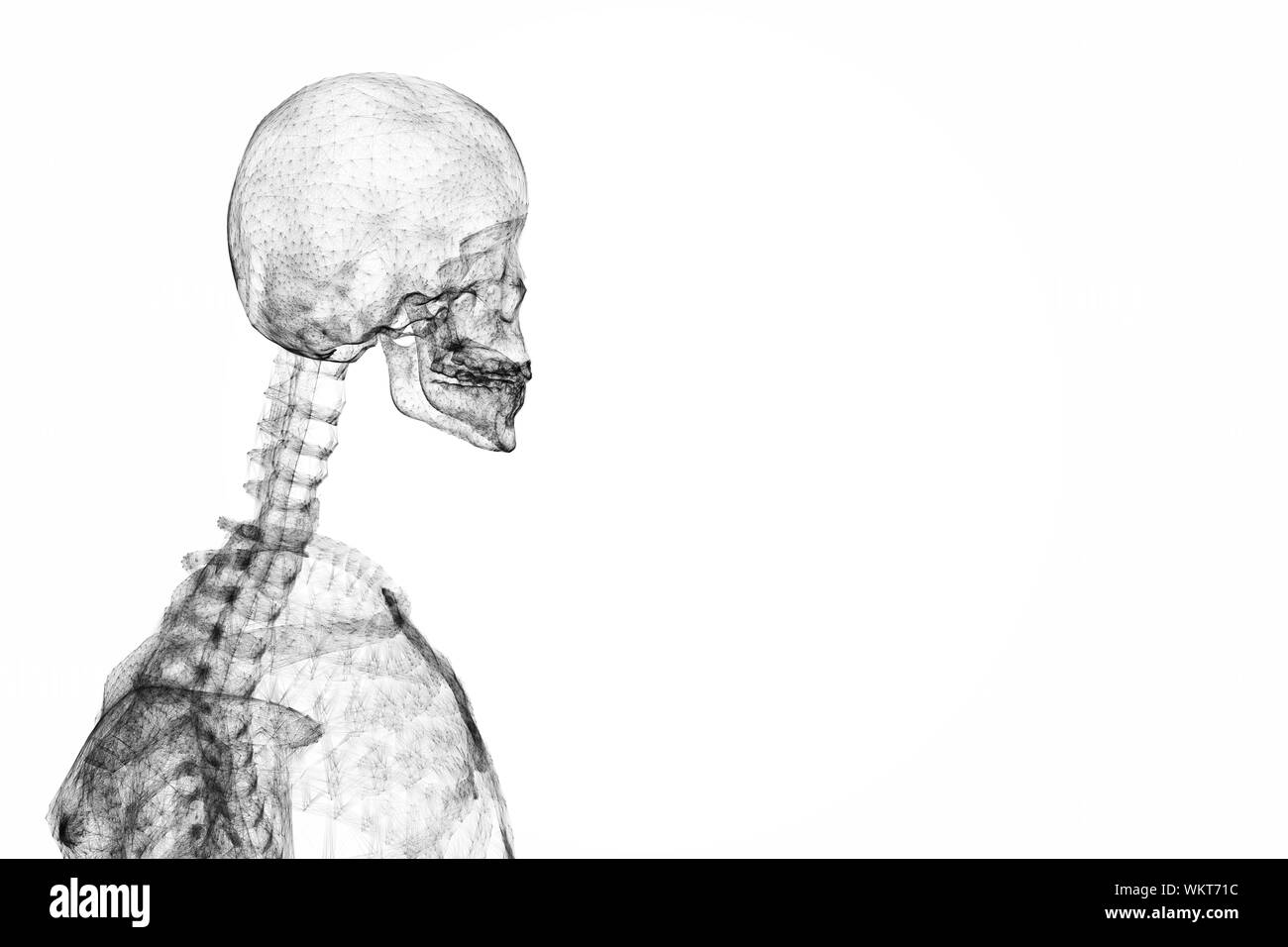 Transparent skeleton graphic in black on white background Stock Photo ...