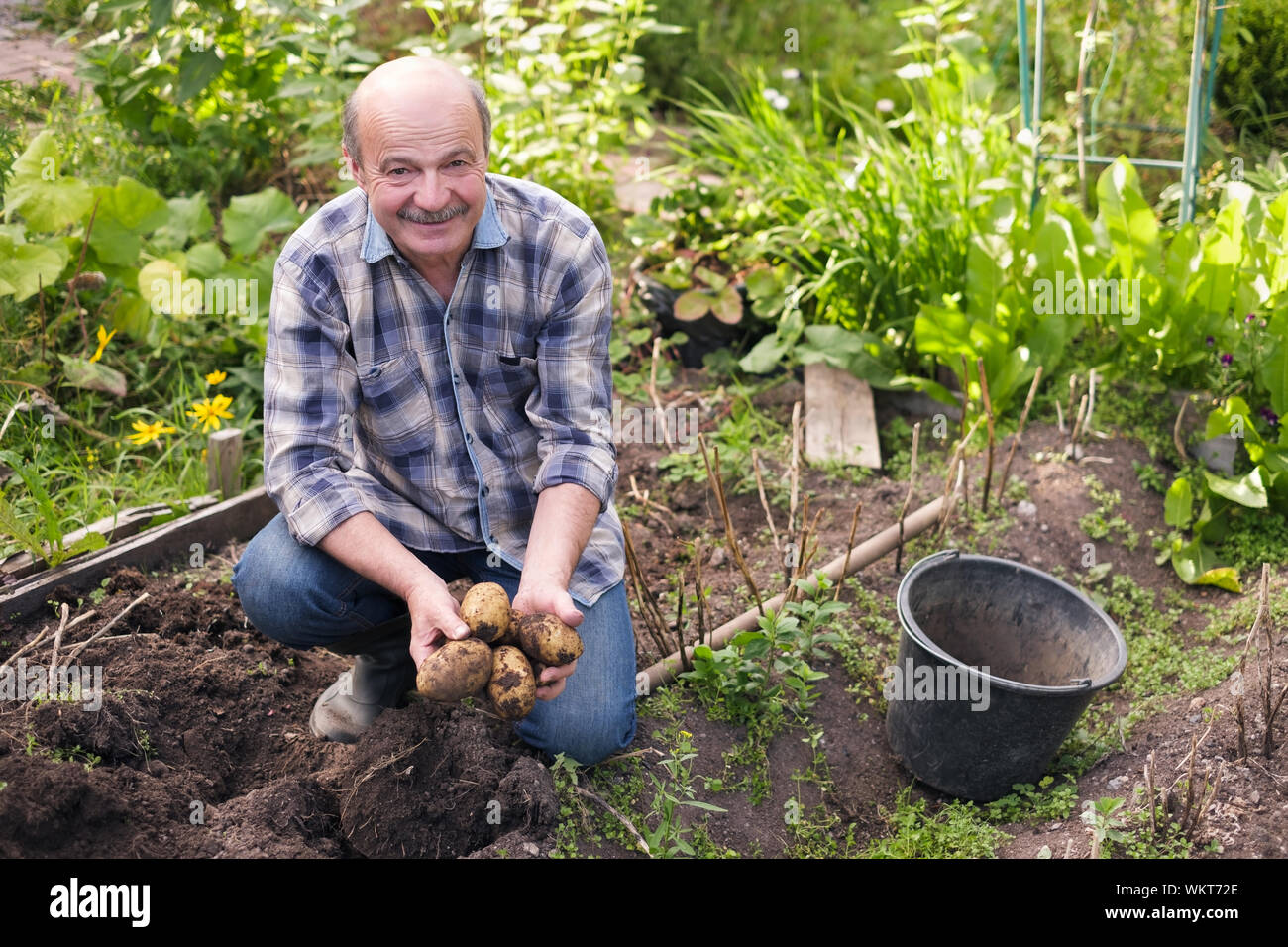 Old man digging ground hi-res stock photography and images - Alamy