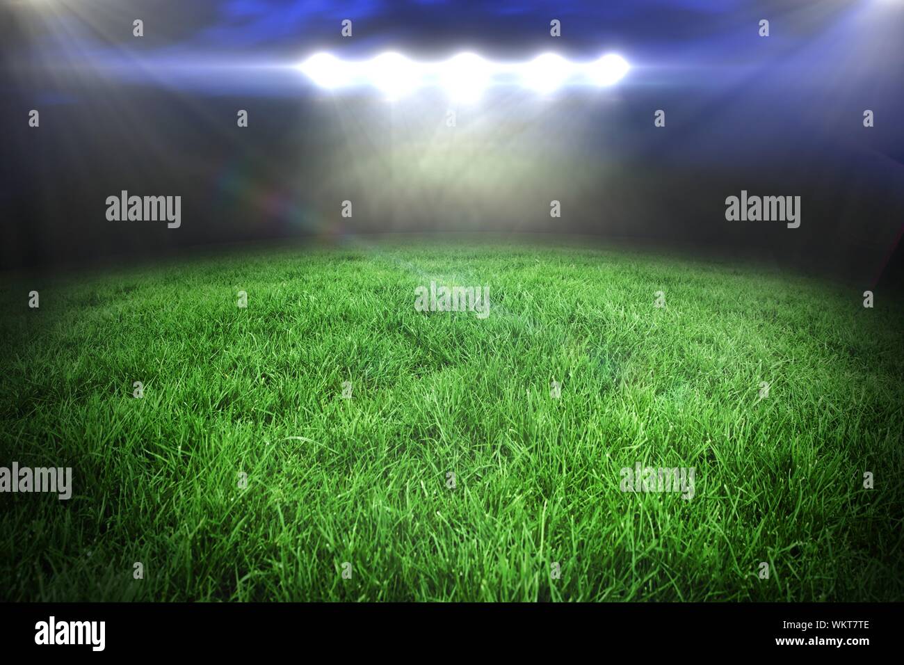 Grass under spotlight hi-res stock photography and images - Alamy