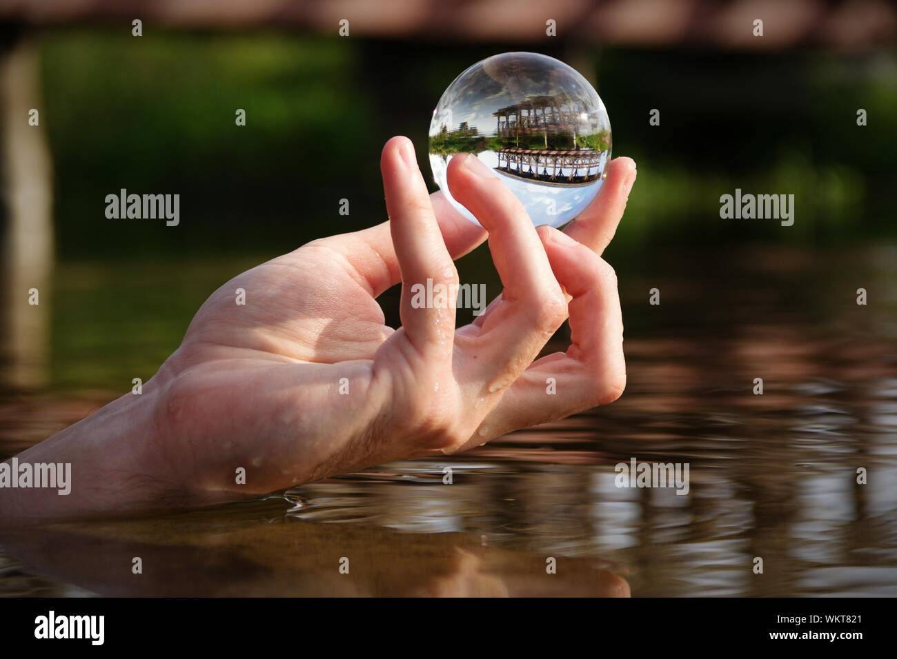 Human hand holding transparent ball hi-res stock photography and images ...