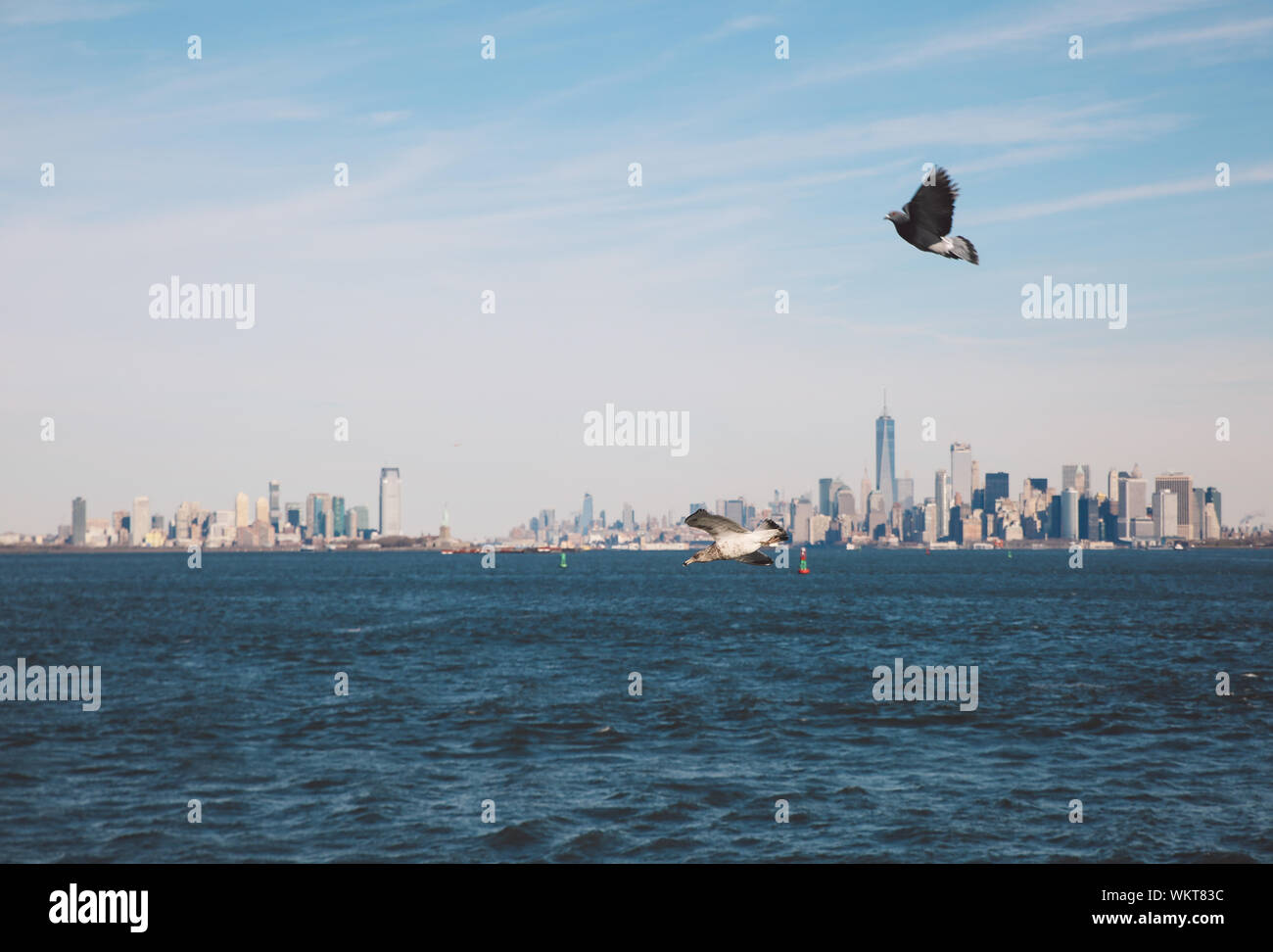 Birds flying against the skyline hi-res stock photography and images ...