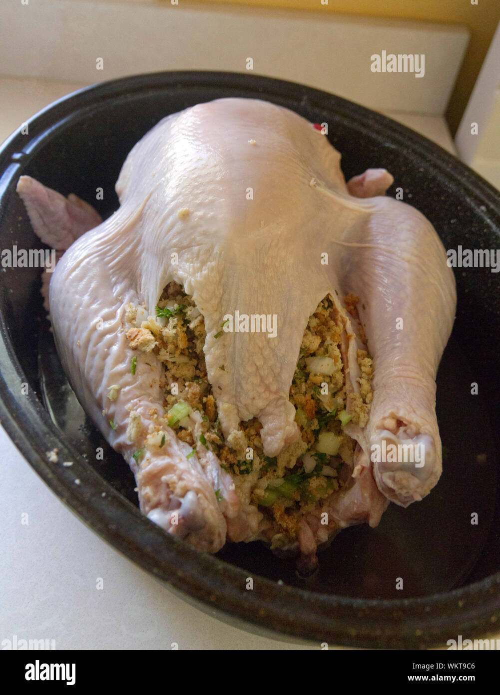 A raw turkey filled with stuffing is ready to be cooked for a holiday ...