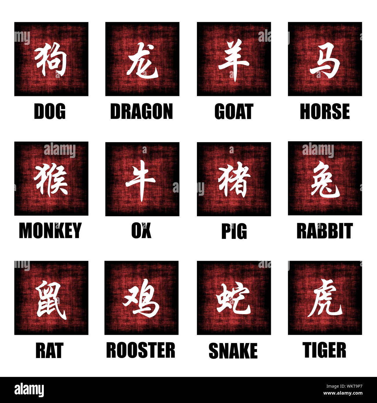 Chinese Zodiac Animals Lunar Astrology Art Set Stock Photo - Alamy