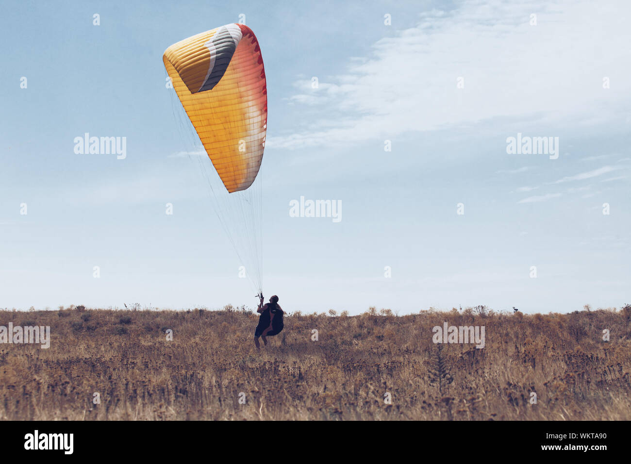 Paraglider taking off from a hill Stock Photo - Alamy