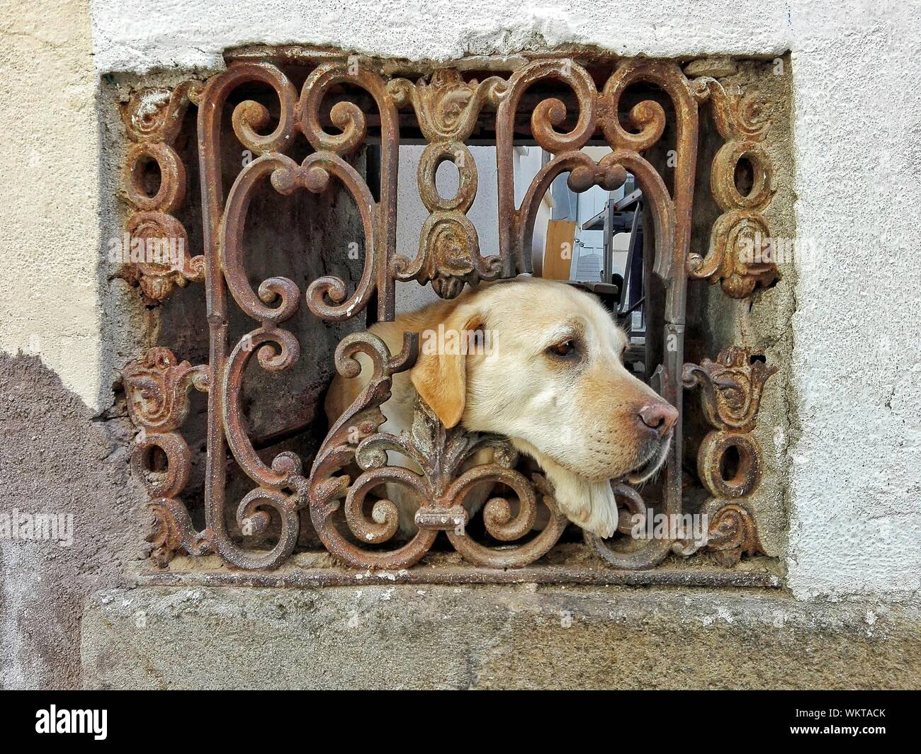 Peeking through the wall hi-res stock photography and images - Alamy